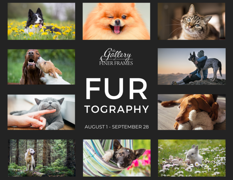 FUR-TOGRAPHY – Finer Frames